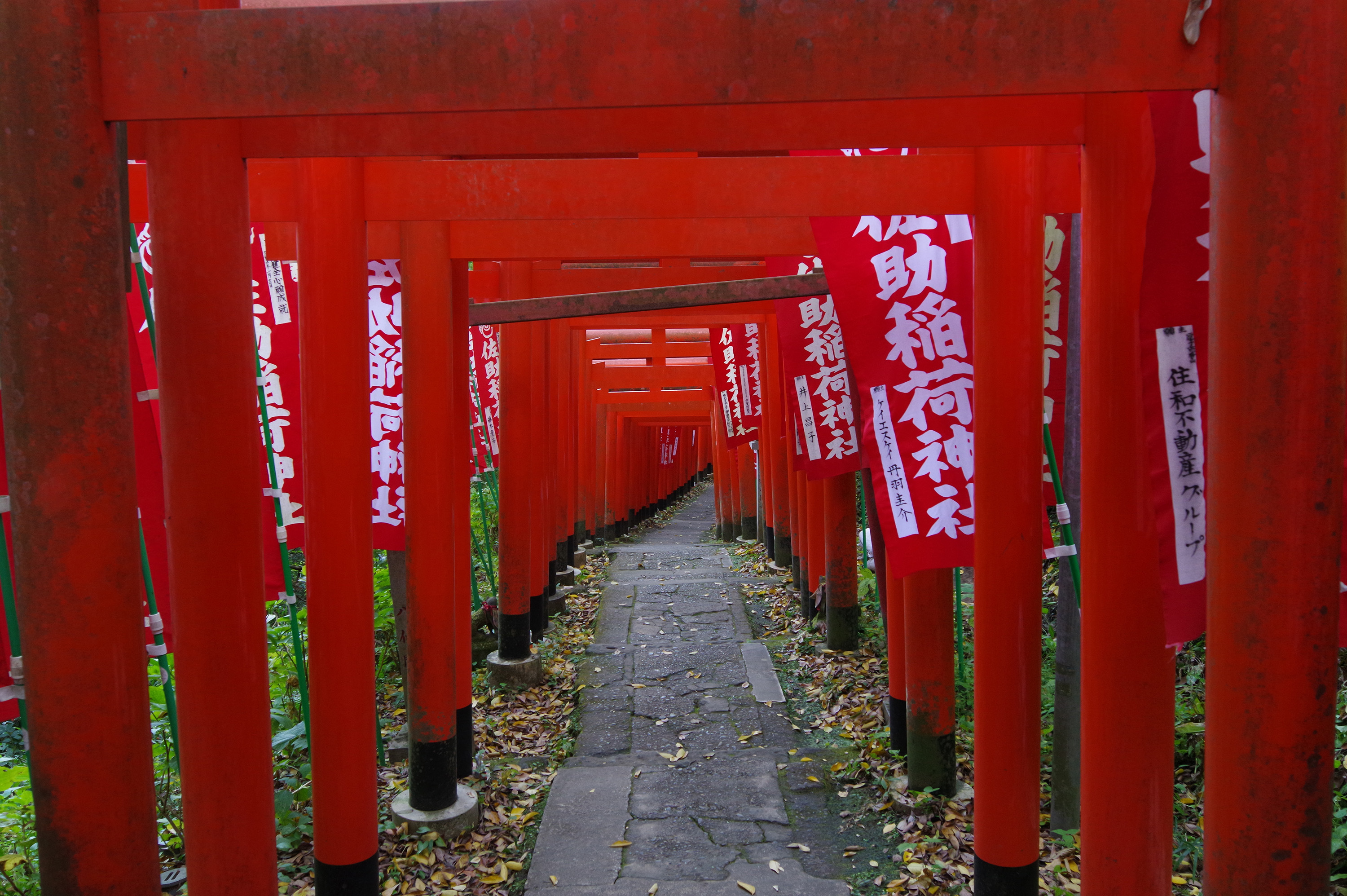 Inari Shrine | ture Japan | Culture